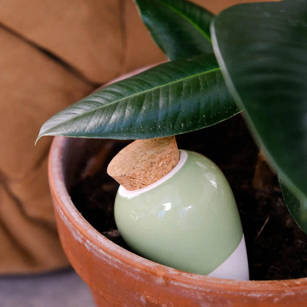 OLLA, Watering Spikes - Green — by Pepin – Paperole