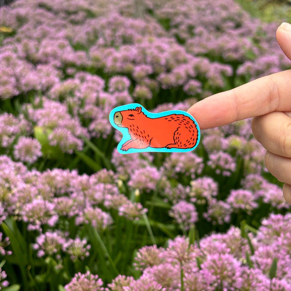 BIODÔME DE MONTRÉAL POSTCARD - 5 ECOSYSTEMS – Paperole