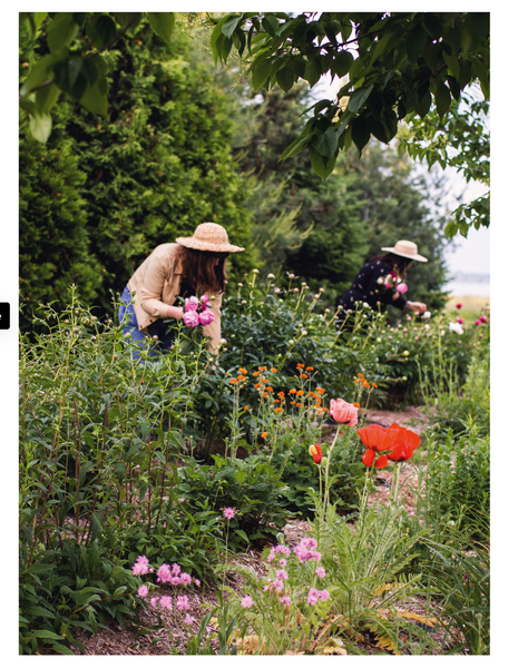 JARDINER, tout naturellement — by Laurie Perron and Sarah Quesnel-Lang ...