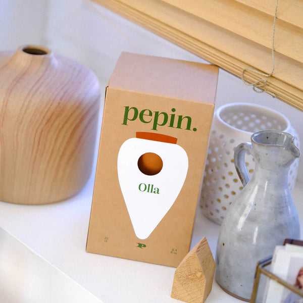 OLLA, Watering Spikes - Terracotta — by Pepin – Paperole