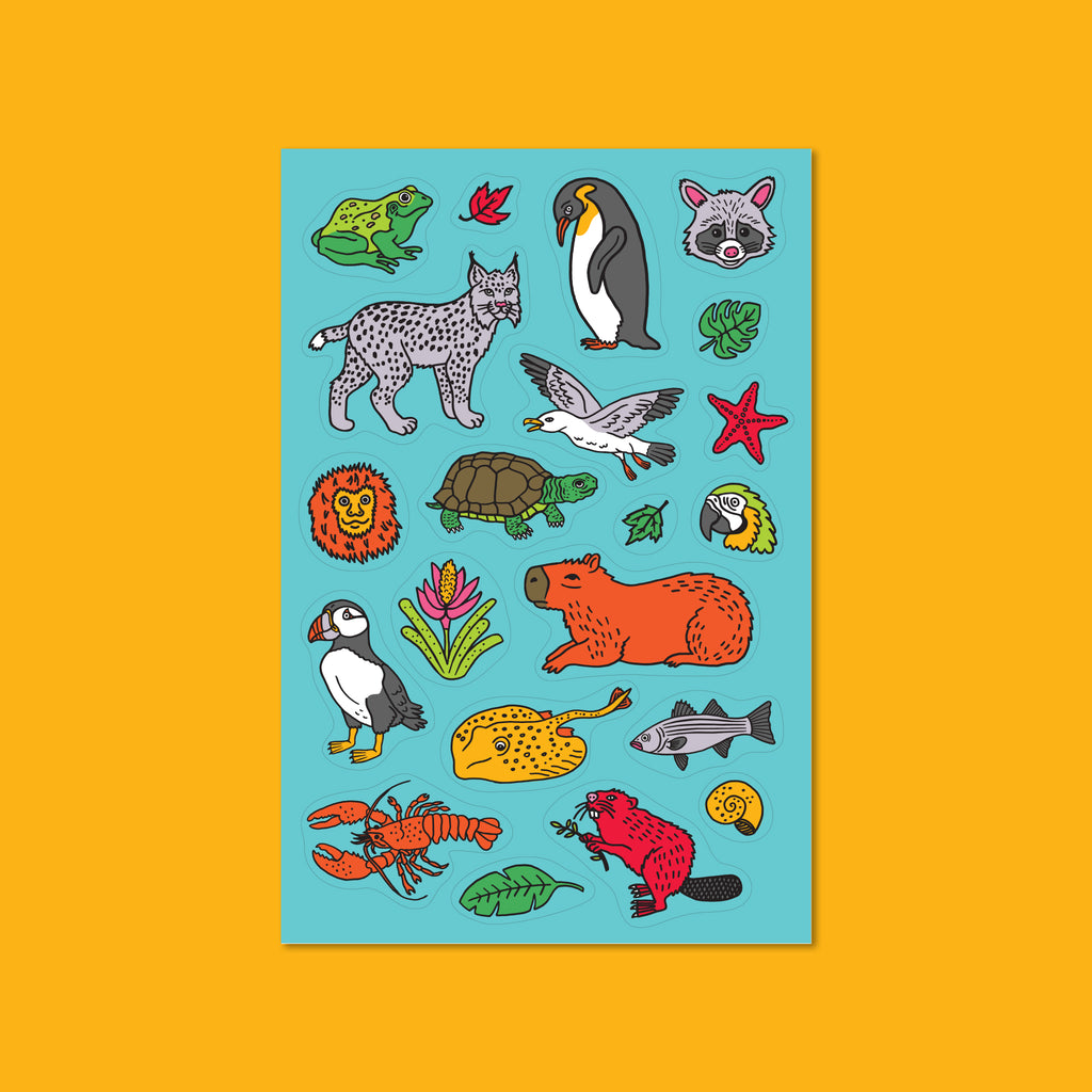 BIODÔME DE MONTRÉAL POSTCARD - 5 ECOSYSTEMS – Paperole