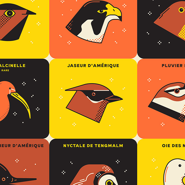 OISEAUX DU QUÉBEC, 18" X 24" — by Simon L’Archevêque – Paperole